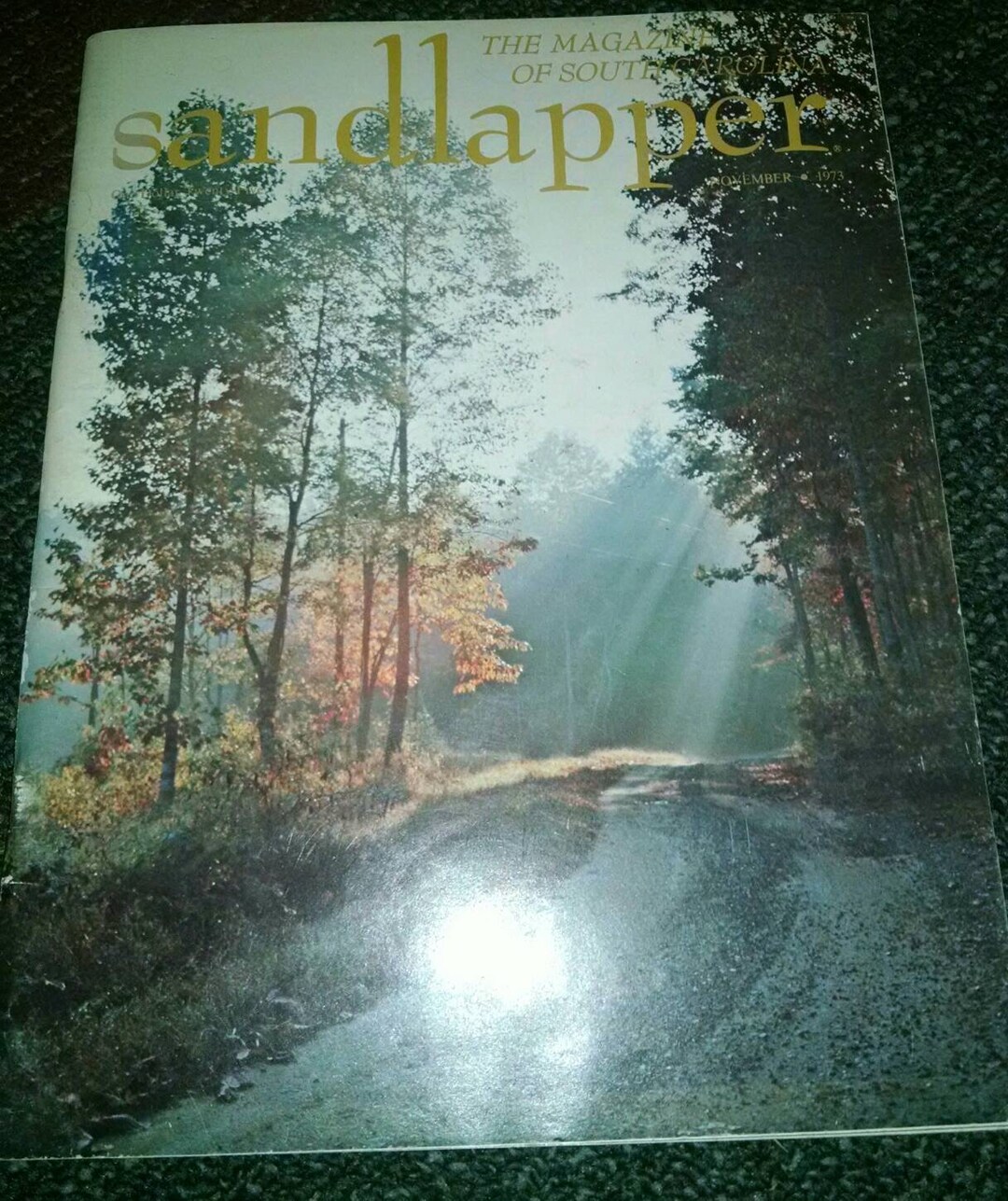 South Carolina Sandlapper Magazine November 1973 - Etsy