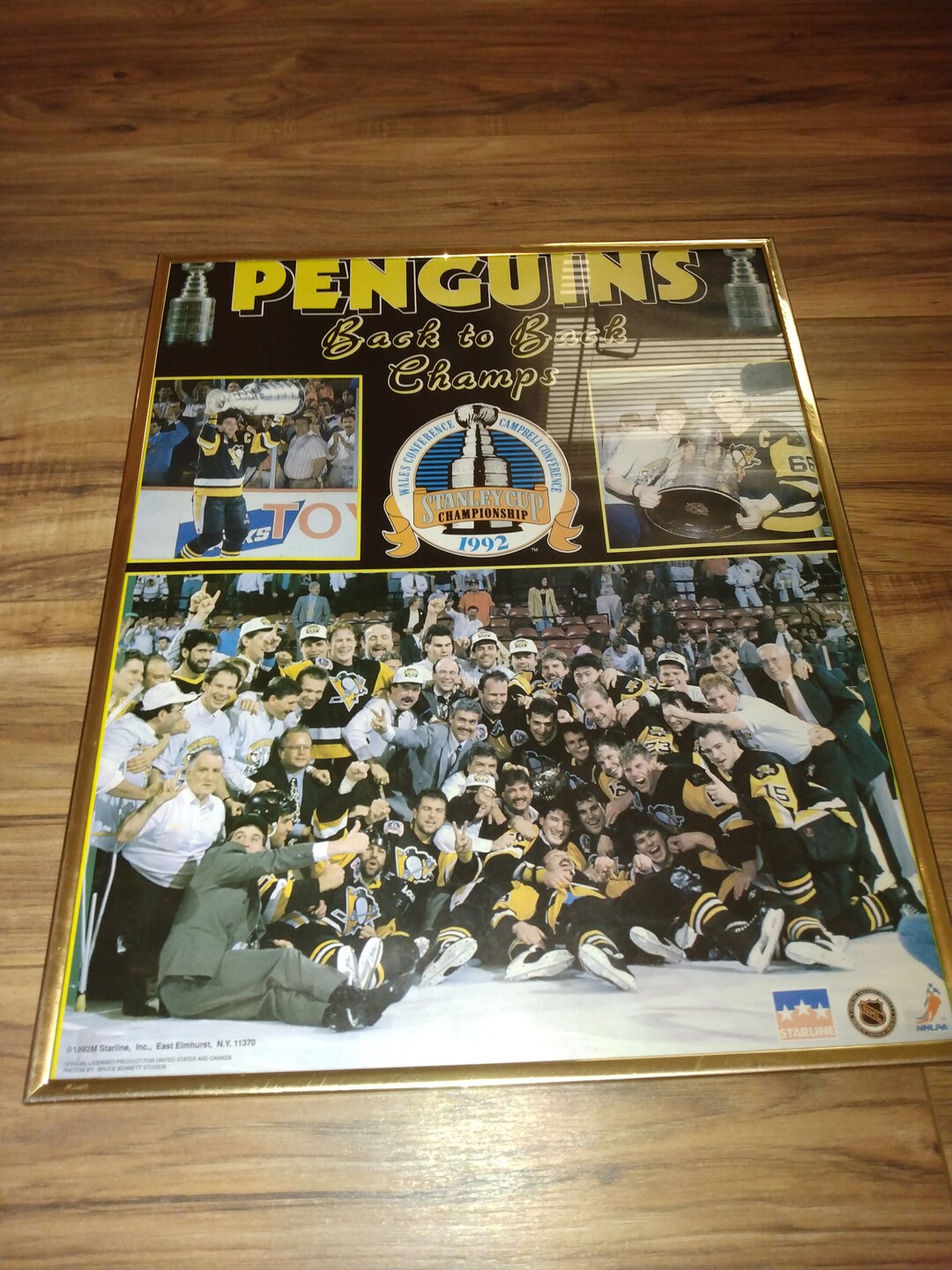 1992 Pittsburgh Penguins Back to Back Champions Poster Franed - Etsy