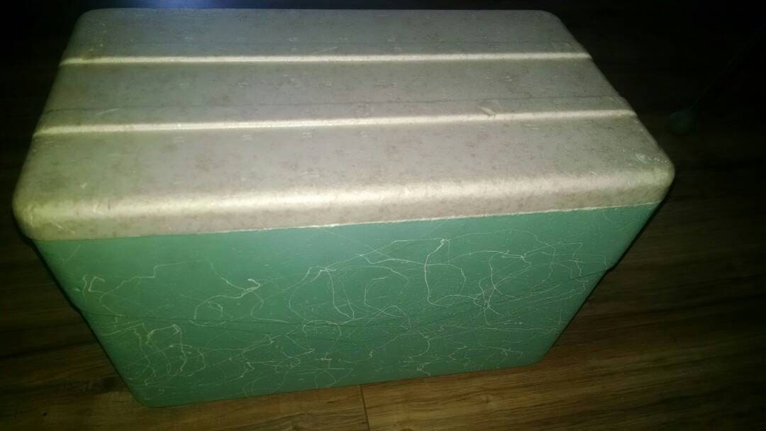 Vintage Mid Century Modern Styrofoam Cooler With Retro Design and Color ...