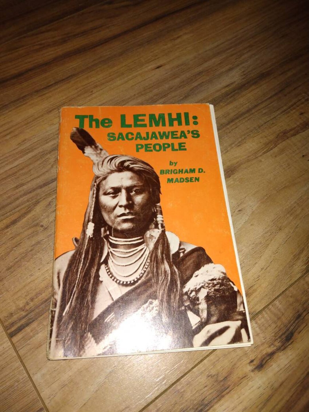 The Lemhi Sacajawea's People by Brigham D Madsen - Etsy