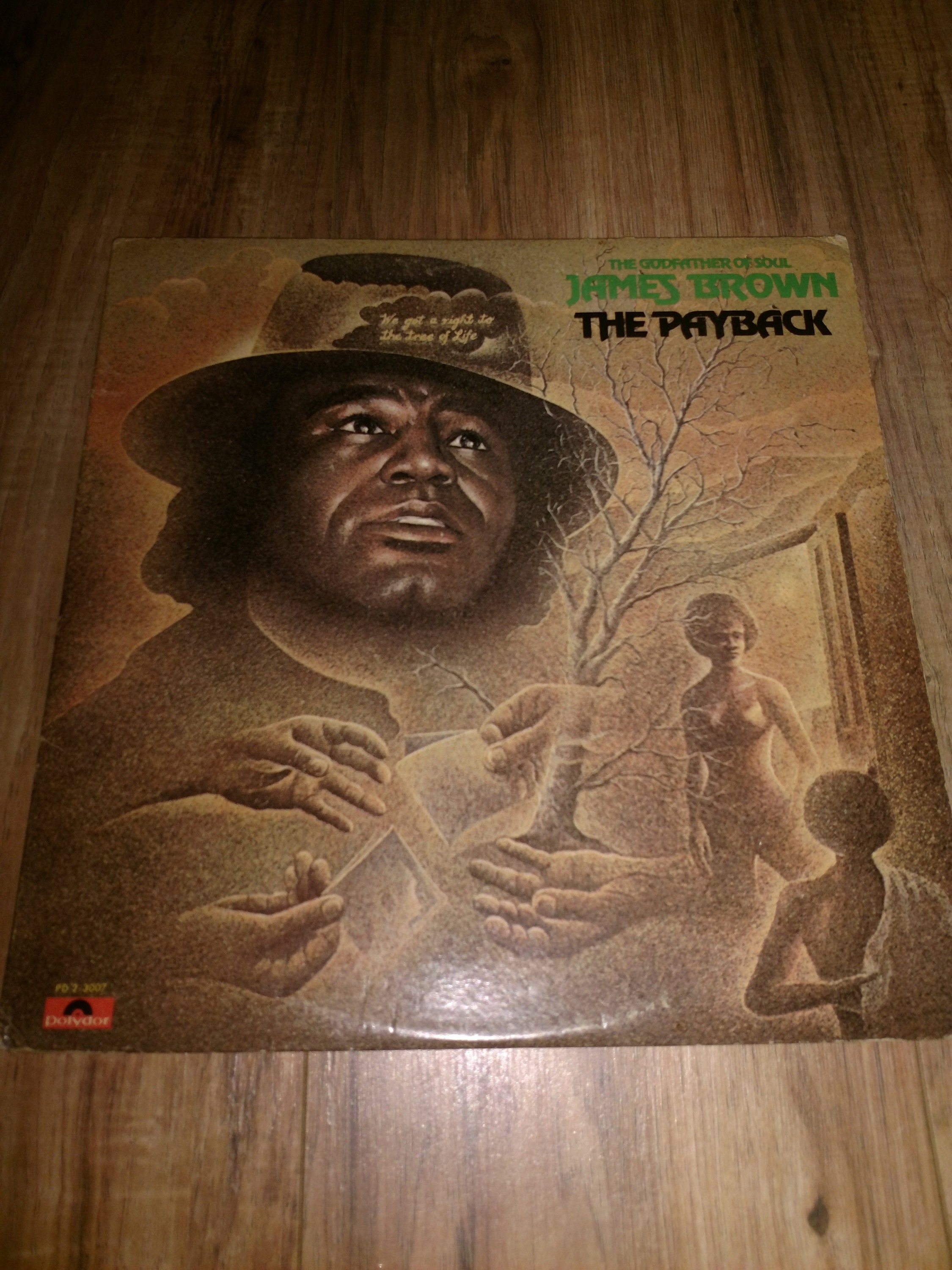 James Brown The Payback