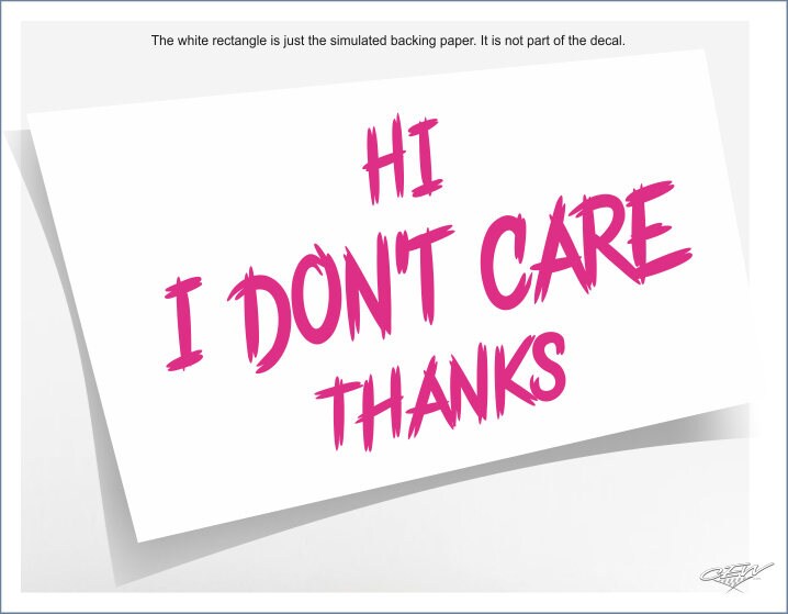 I Don't Care Vinyl Decal Funny Car Sayings Funny Window - Etsy