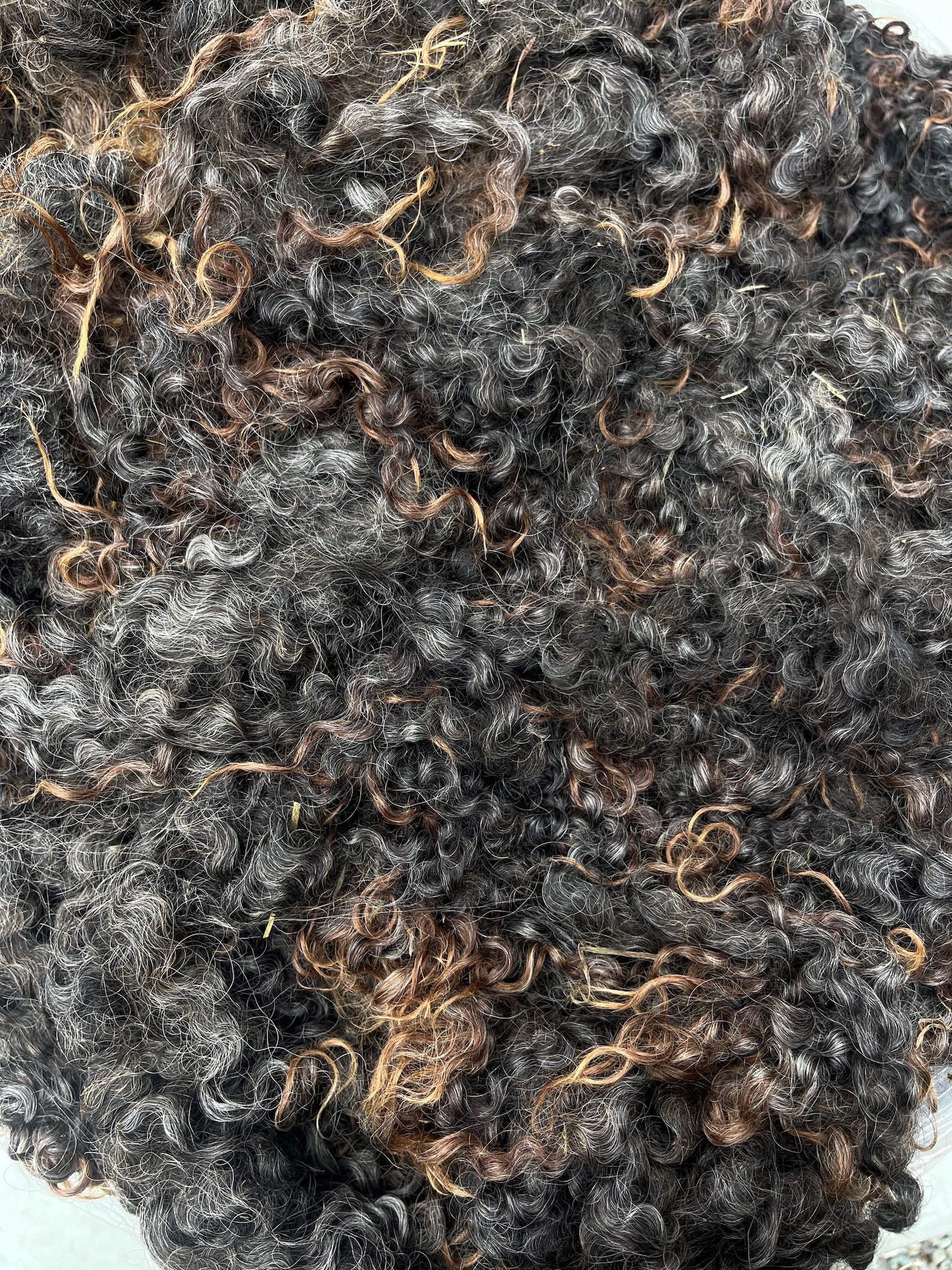 Holly #683 - 6.5lb Wensleydale Raw Fleece Natural Charcoal Wool Fiber ...