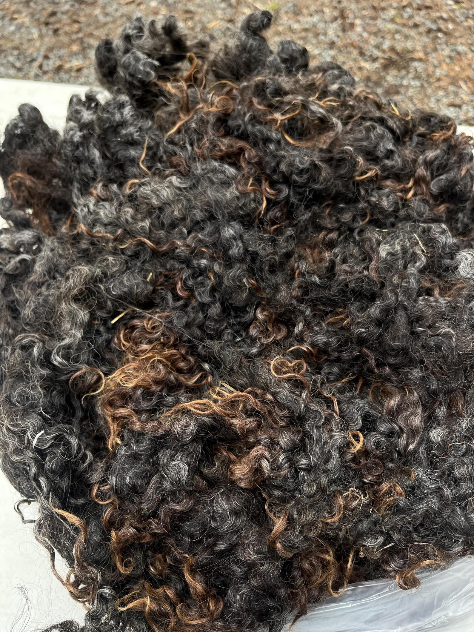 Holly #683 - 6.5lb Wensleydale Raw Fleece Natural Charcoal Wool Fiber ...