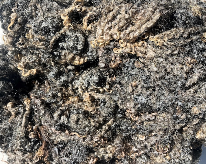 Pearl #774 - 5.5 Lbs of Wensleydale Raw Fleece Natural White Wool Fiber ...