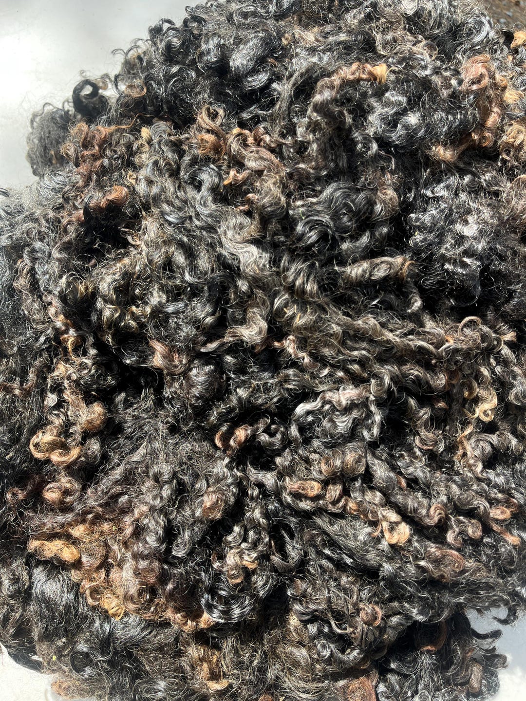 Clemetis #804 - 8lb Wensleydale Raw Fleece Natural Color Wool Fiber ...