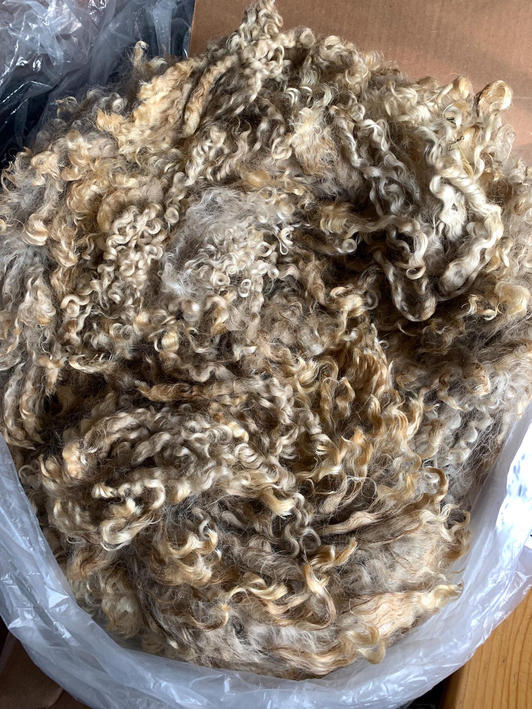 797 - Wensleydale Raw Fleece Natural White Wool Fiber 3/29/24 - Etsy