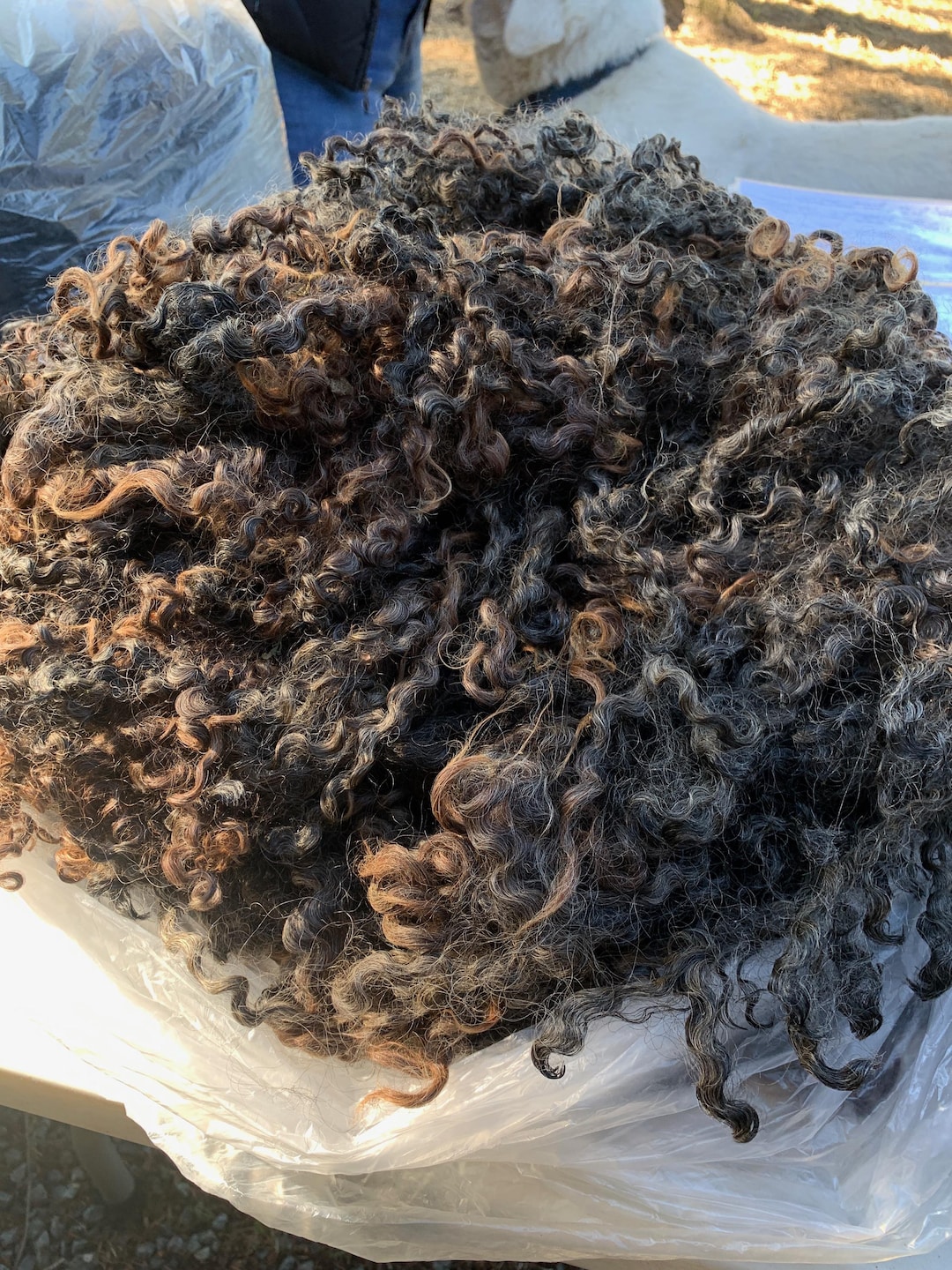 900 - Wensleydale Raw Fleece Natural Black Wool Fiber 7/26/24 - Etsy