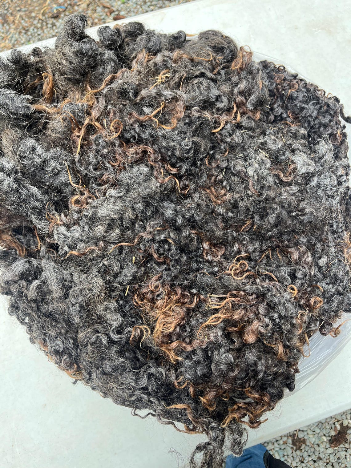 Holly #683 - 6.5lb Wensleydale Raw Fleece Natural Charcoal Wool Fiber ...