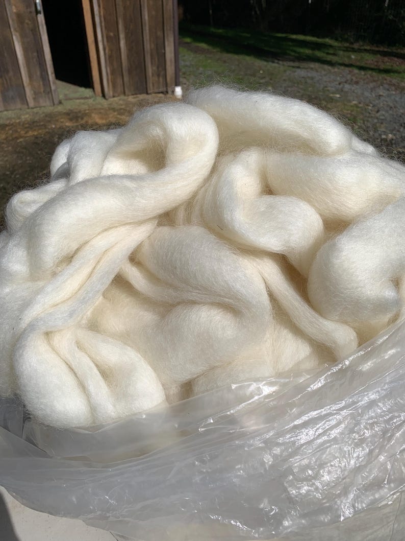 4oz of Wensleydale White Wool Craft Roving - Etsy