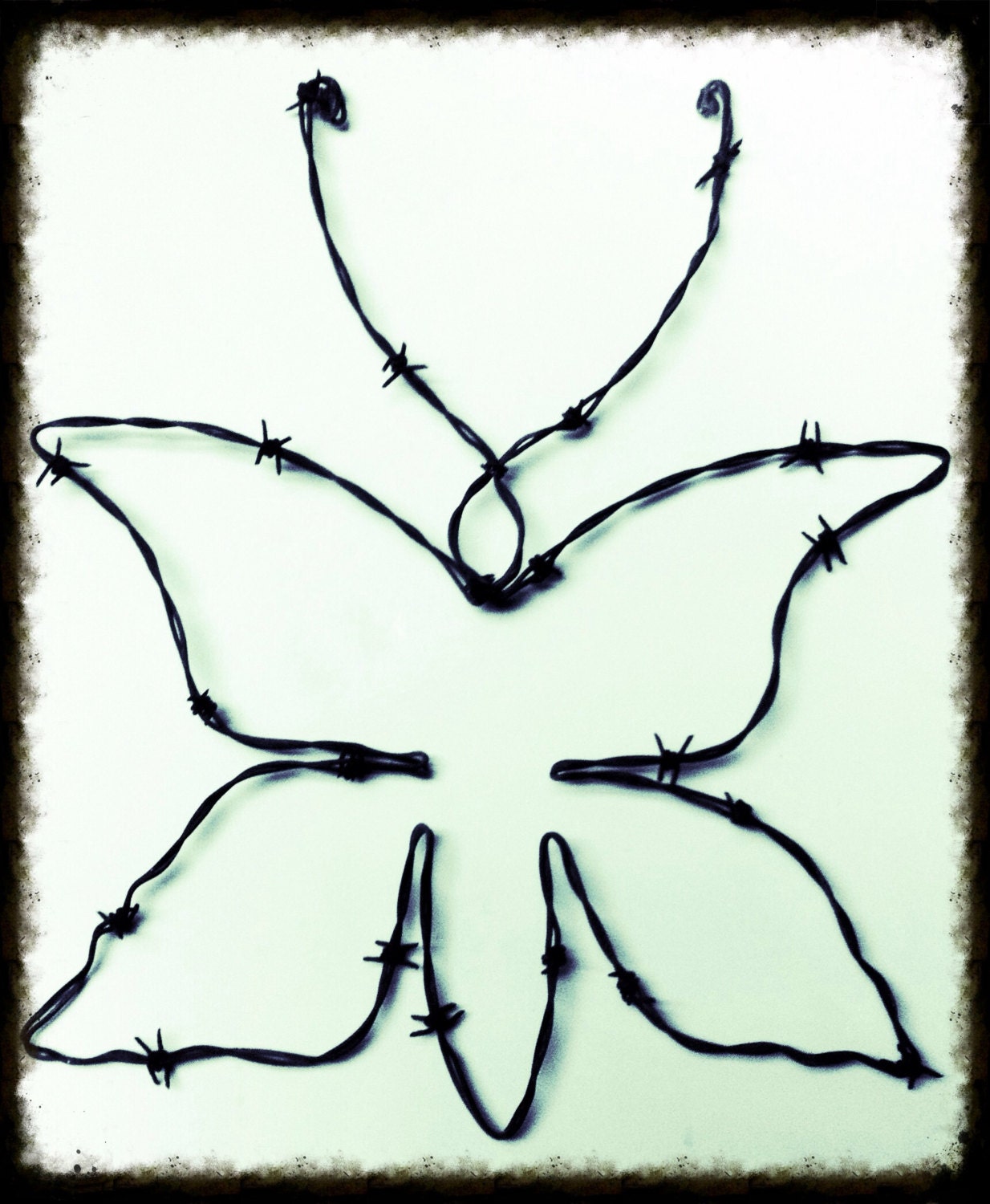 Butterfly, Dragonfly, Moth, Bat, Bee, TEDX, Motivation, Inspirational ...