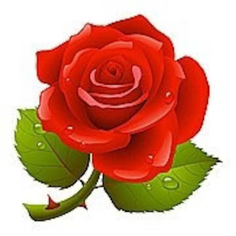 Rose, Wire Rose, Barbed Wire Rose, Floral Decor, - Etsy