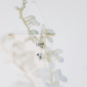 Hanging "백일" Canvas Flag Banner // Baekil / Korean 100 Days Decoration ...