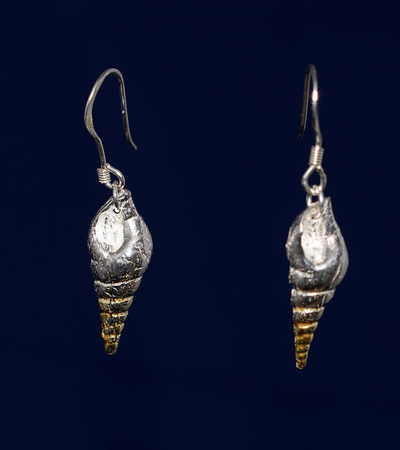 Fine Silver Shell Earrings With 24ct Gold Plating - Etsy