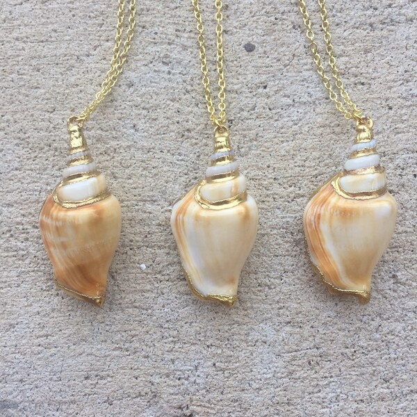Conch Shell Necklace - Etsy