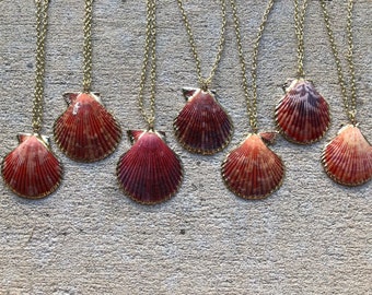 Pink Shell Necklace - Etsy