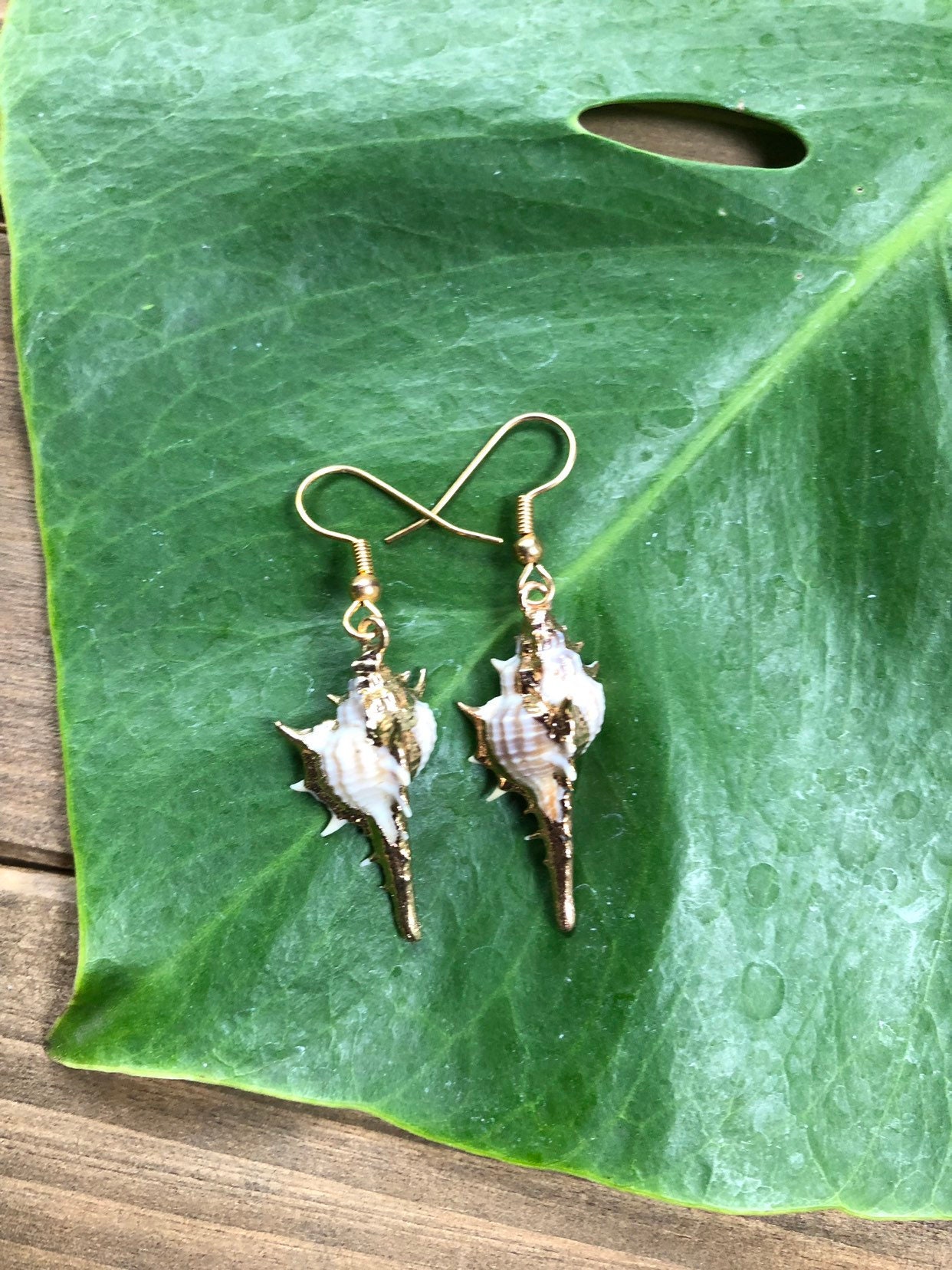 Small Shell Earrings