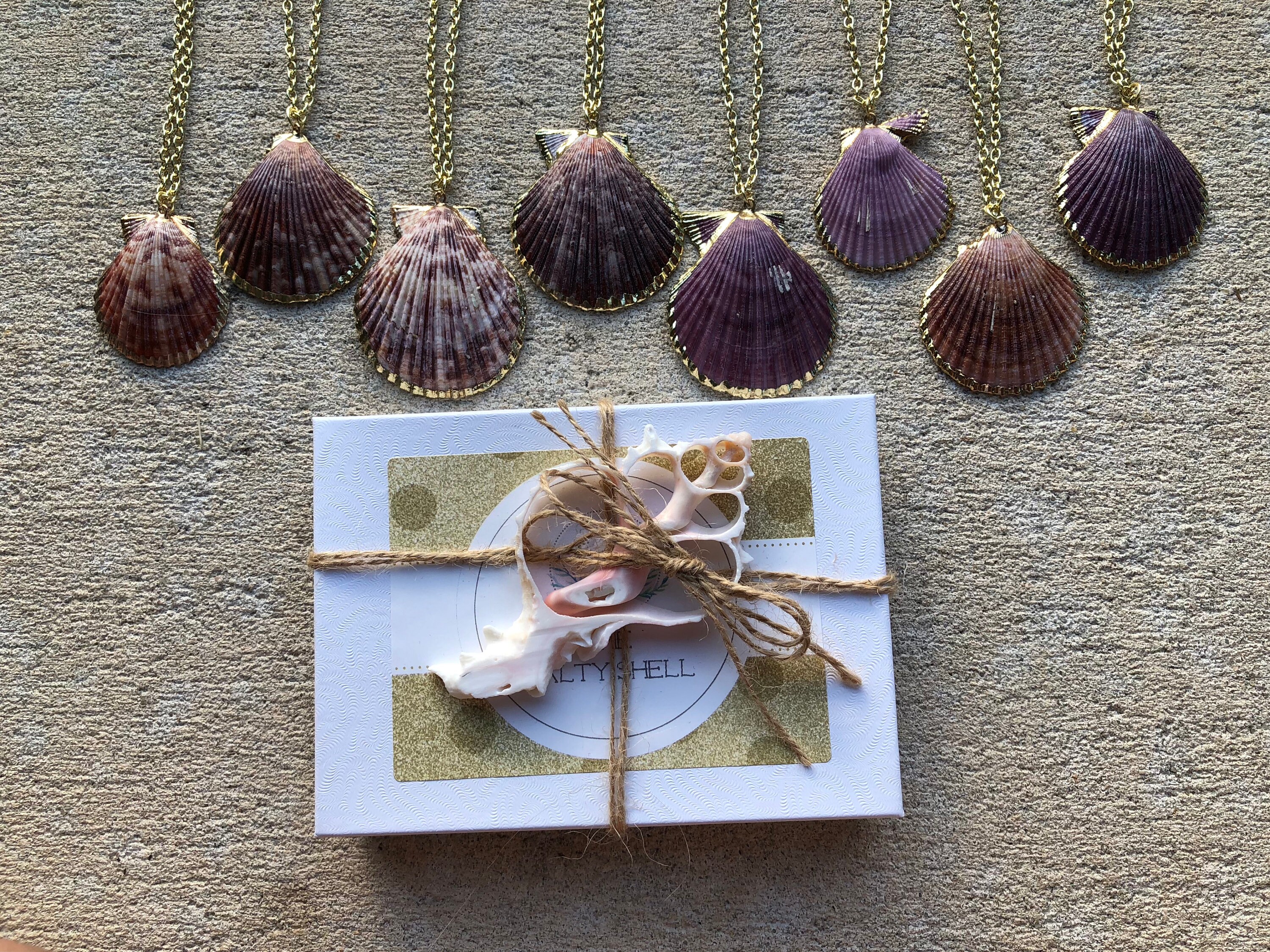 Purple Scallop Shell Necklace