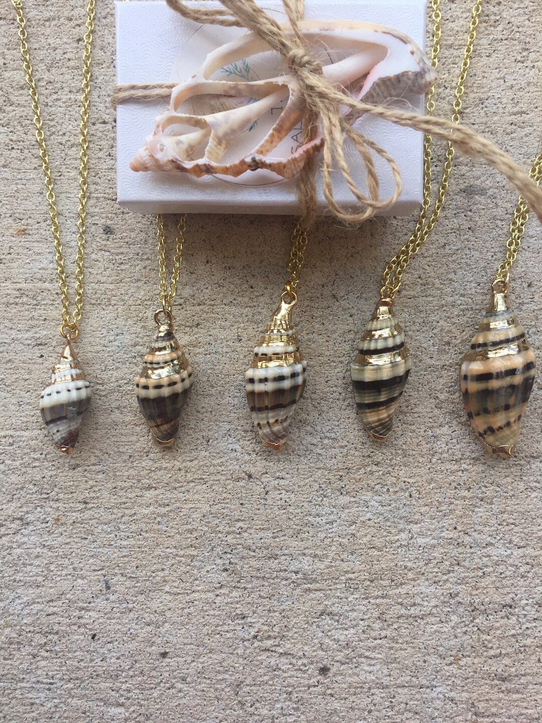 Black Miter Shell Necklace: Beachy Mermaid Pendant - Etsy