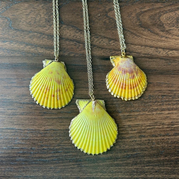 Scallop Shell Necklace - Etsy