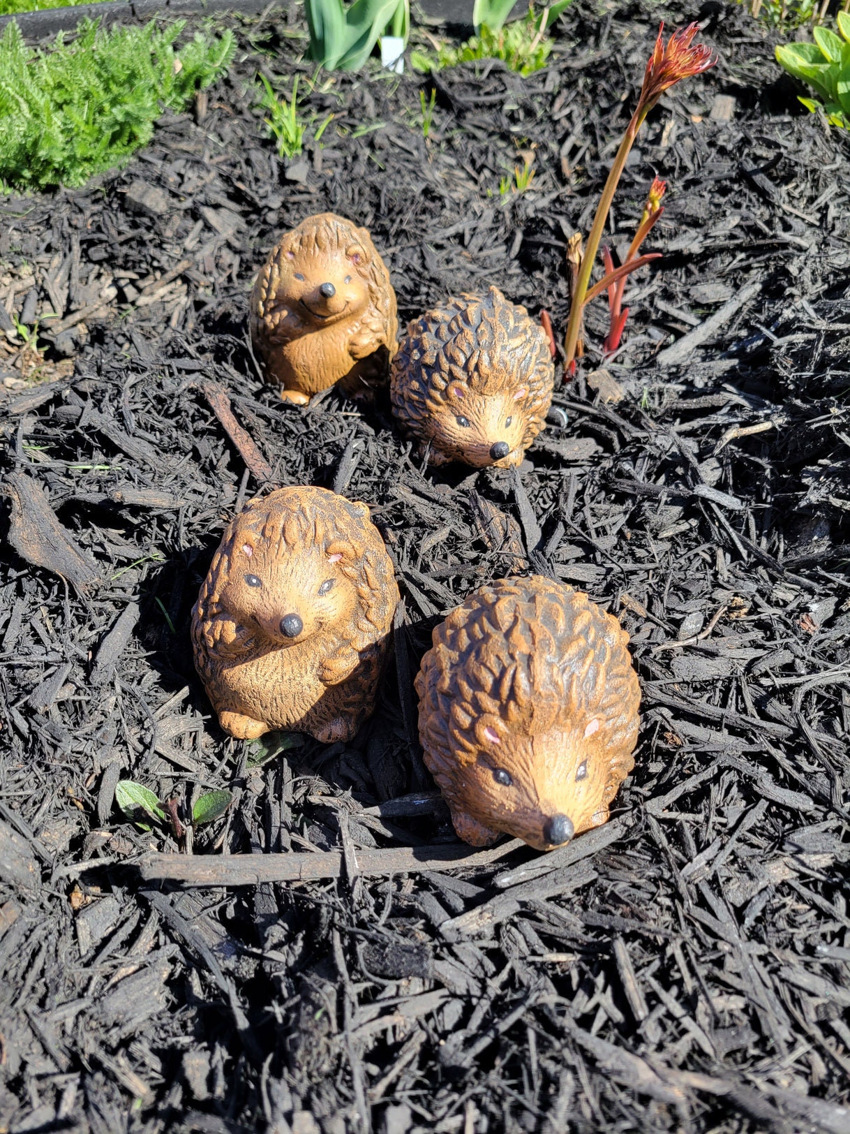 Hedgehog Concrete Statue, Hedgehog Garden Statue, Hedgehog Statue for ...