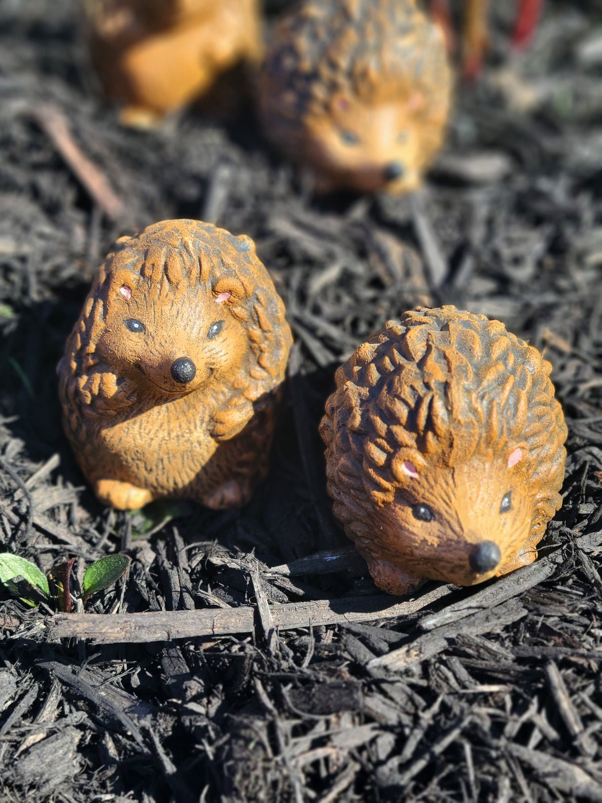 Hedgehog Concrete Statue, Hedgehog Garden Statue, Hedgehog Statue for ...