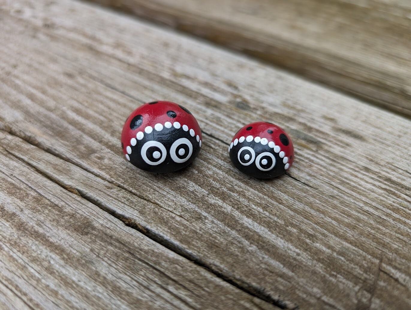 Ladybug Magnets X 5 - Surprise Colors - Etsy