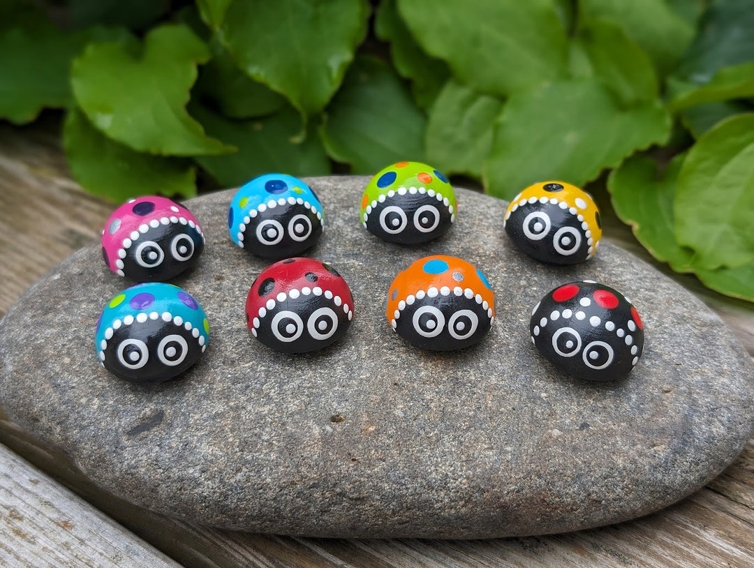 Ladybug Magnets X 5 - Surprise Colors - Etsy