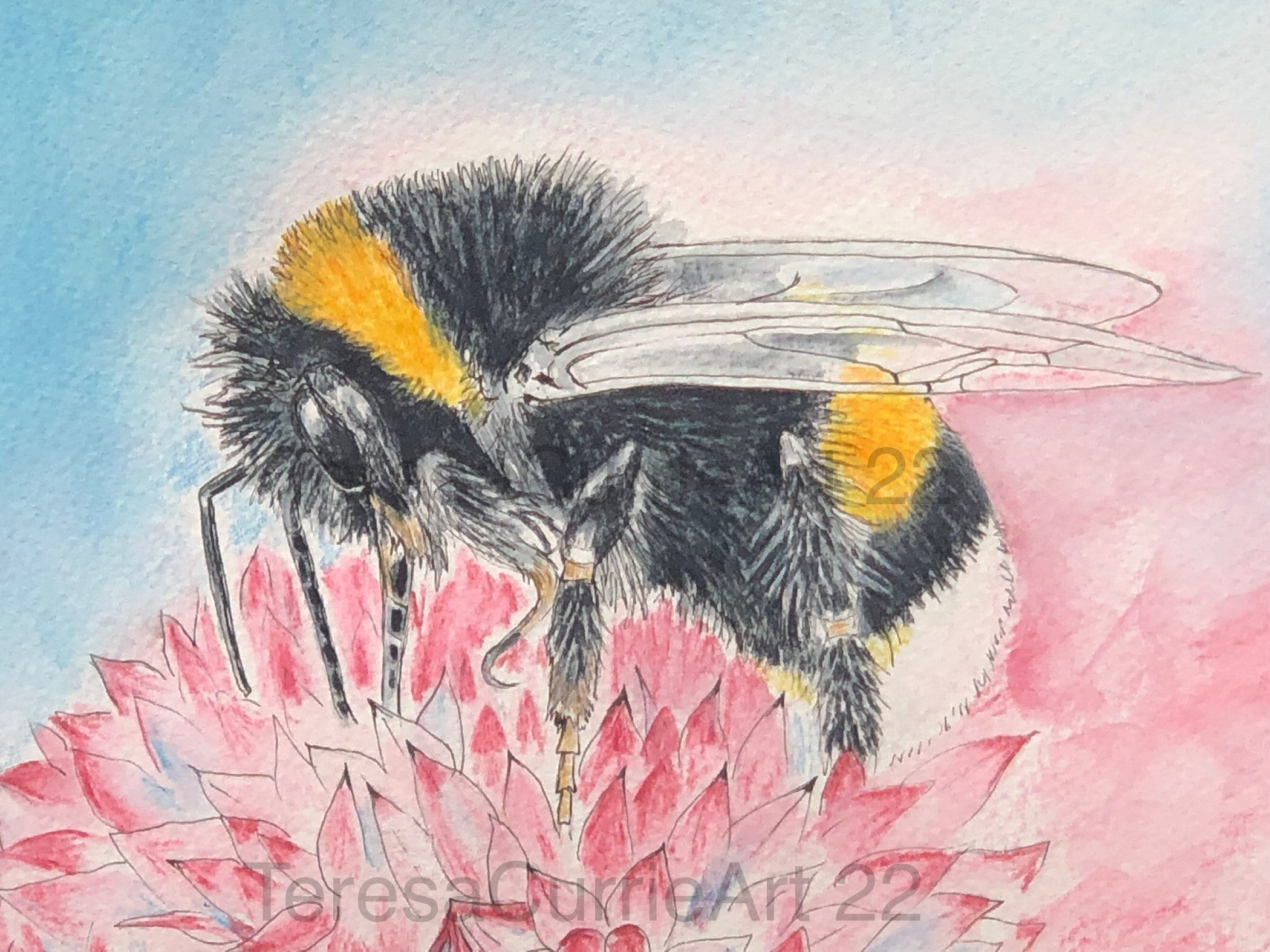 Bumble Bee X Pastel