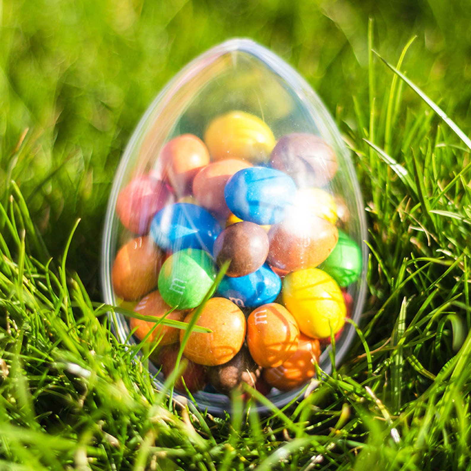 1x Egg Shaped Fillable Container (100mm) Wedding Favours Easter ...