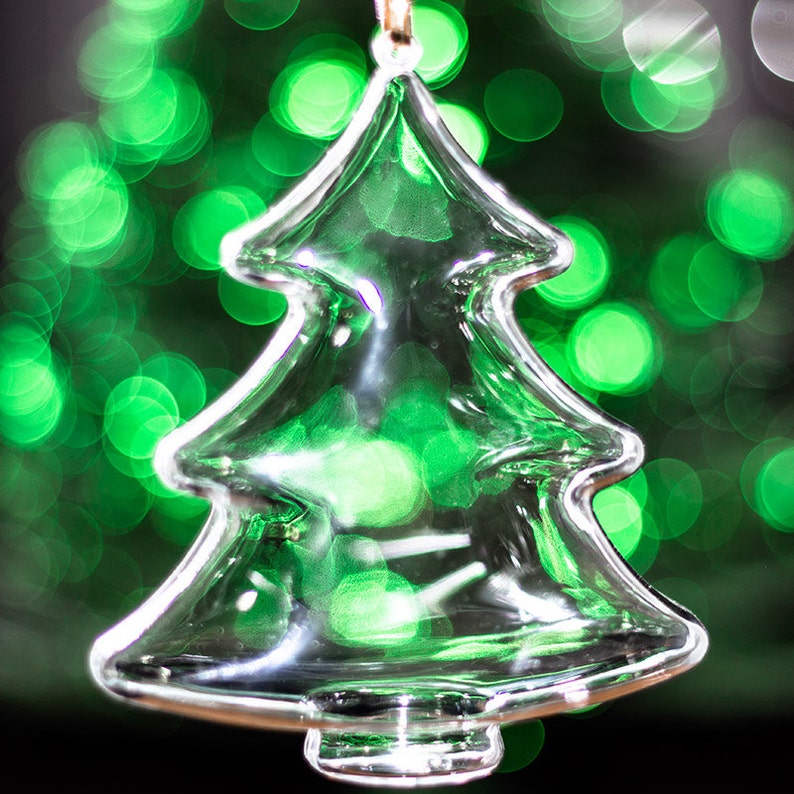 X50 Clear Large Christmas Tree Shaped Xmas Decorations Empty | Etsy