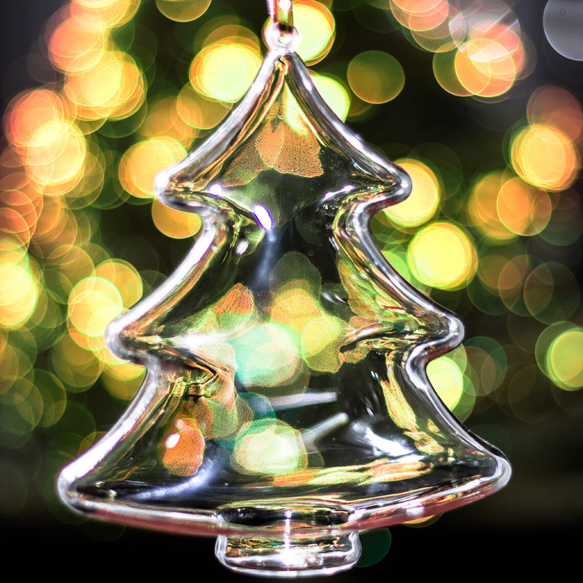 X50 Clear Large Christmas Tree Shaped Xmas Decorations Empty | Etsy