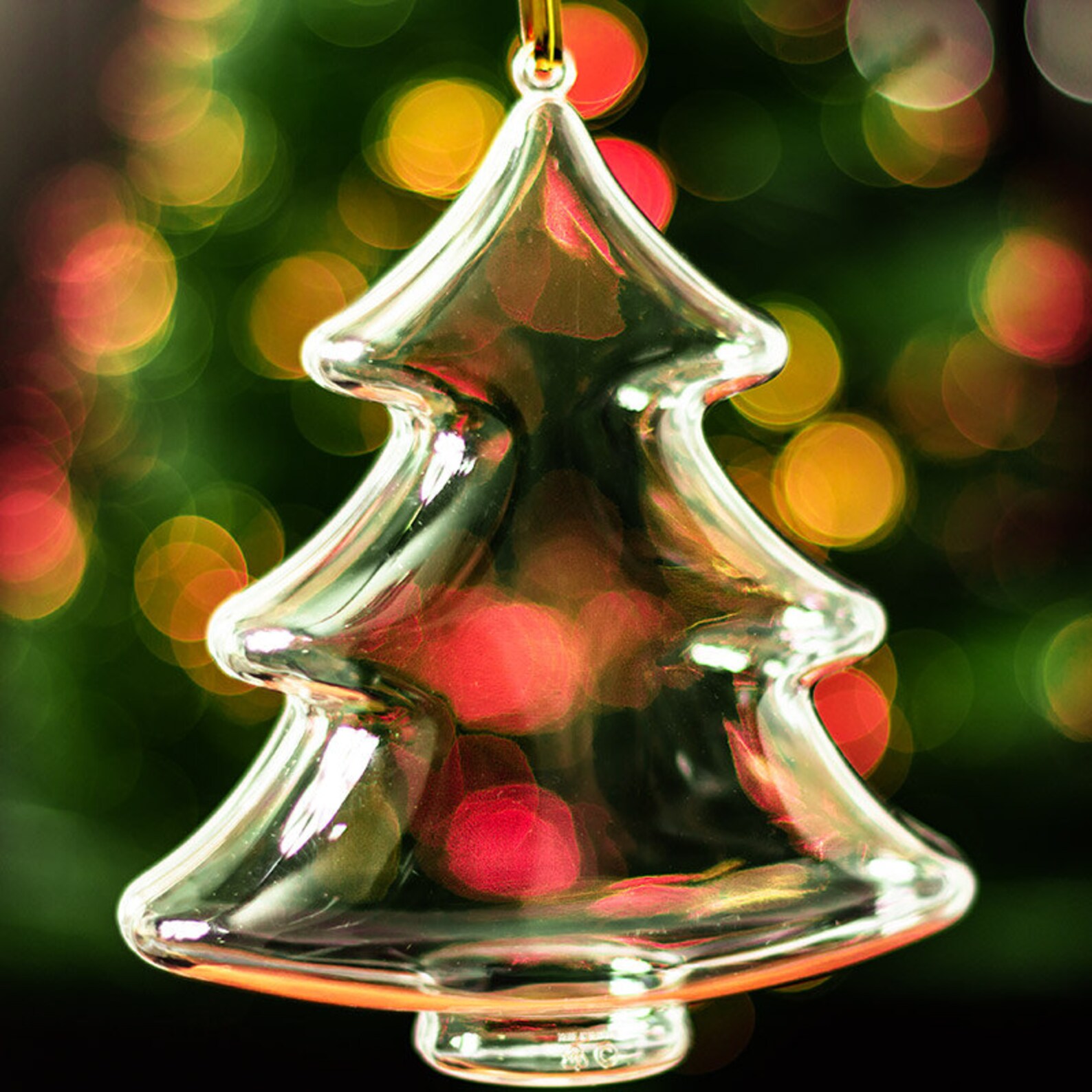 X50 Clear Large Christmas Tree Shaped Xmas Decorations Empty - Etsy