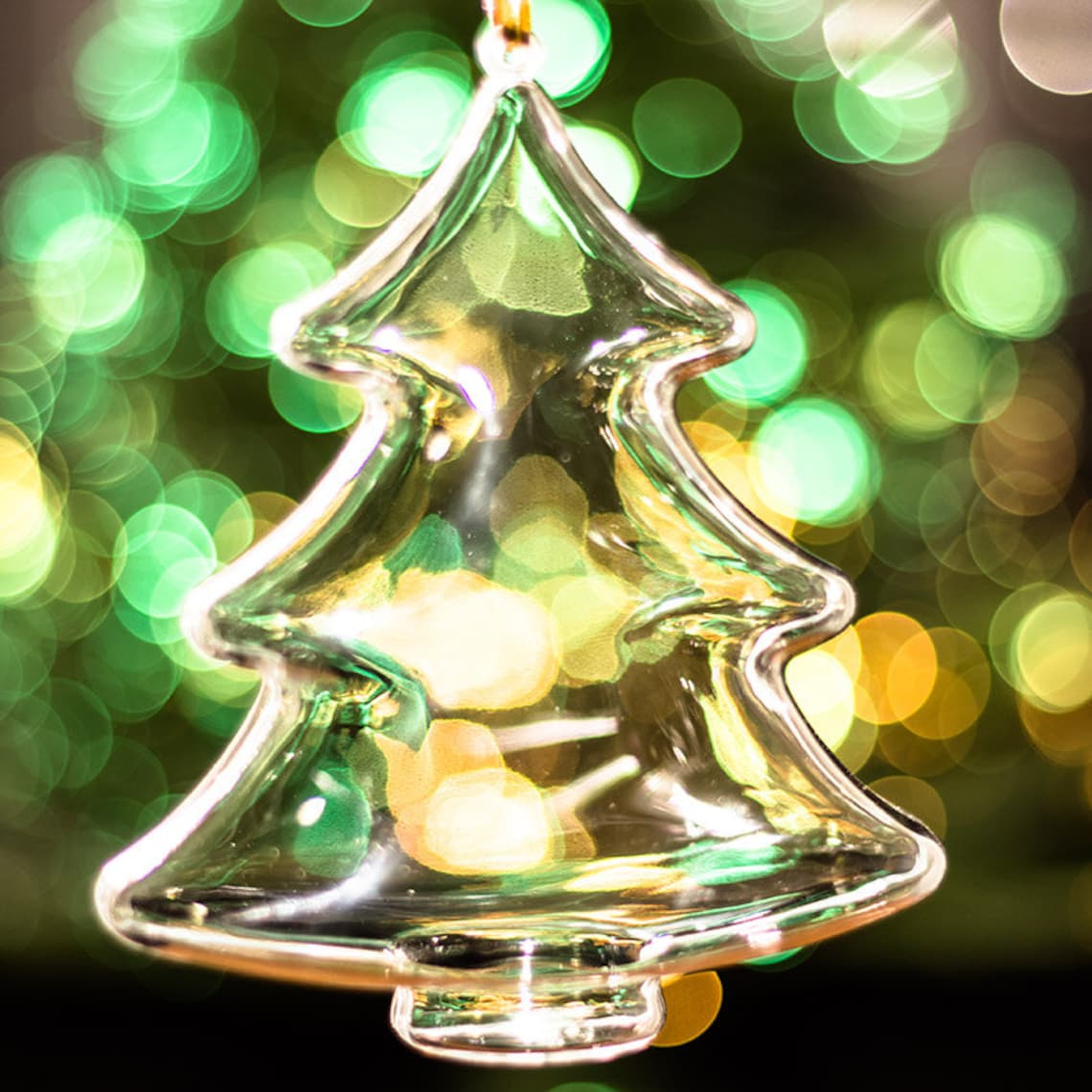 X50 Clear Large Christmas Tree Shaped Xmas Decorations Empty - Etsy