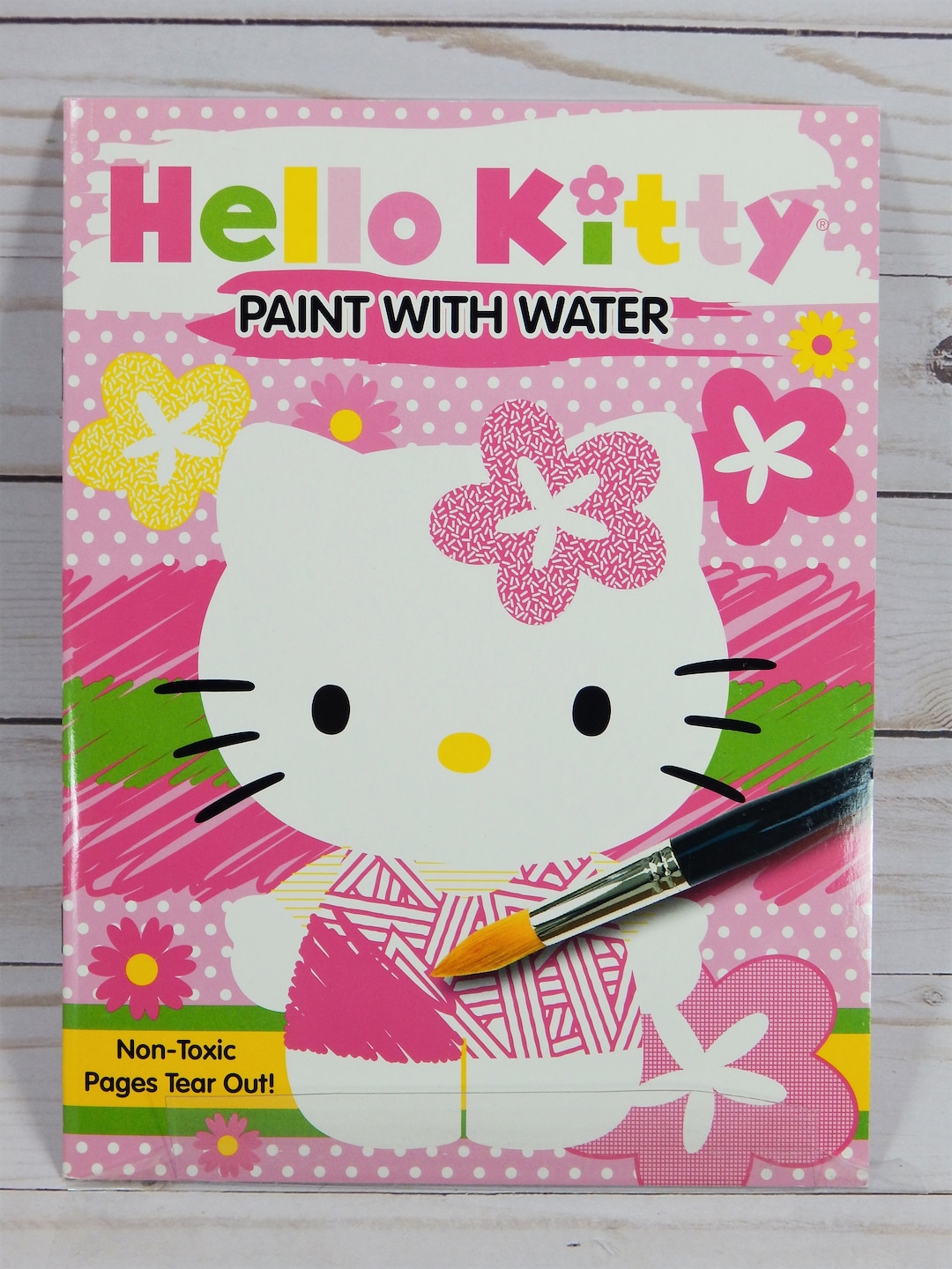 HELLO KITTY: Paint With Water, 12 Pages to Paint - Etsy