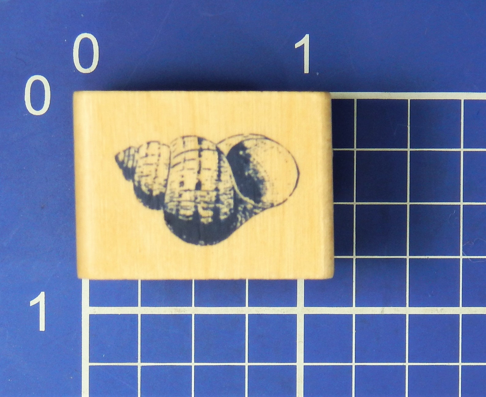 SEASHELL Wood Mounted Rubber Stamp Recollections - Etsy