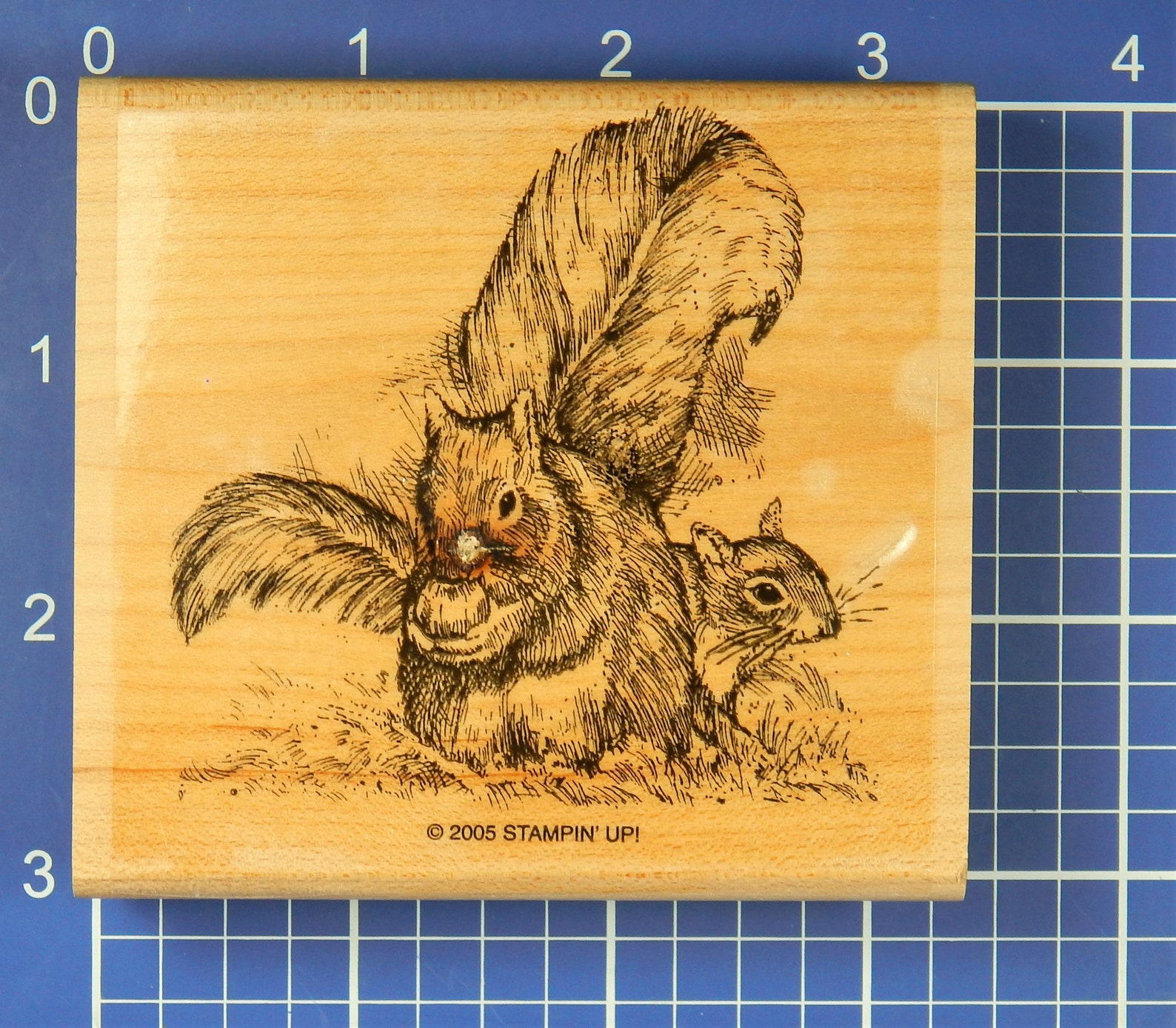 SQUIRRELS Wood Mounted Rubber Stamp Stampin' Up - Etsy