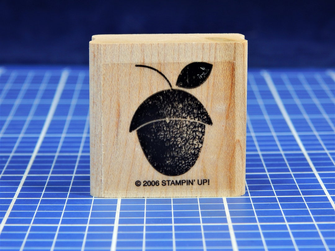 ACORN, Wood Mounted Rubber Stamp, Stampin' Up - Etsy