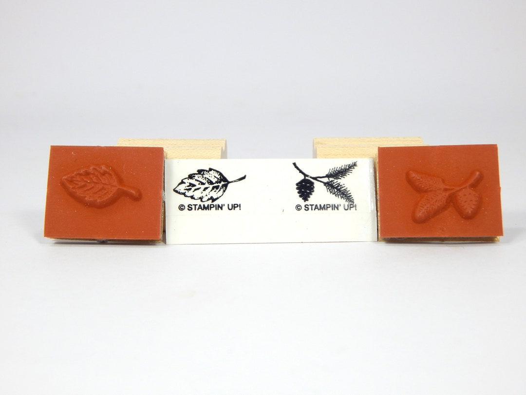Pine Needles & Cone, Single Leaf, 2 Rubber Stamps, Stampin' Up! - Etsy