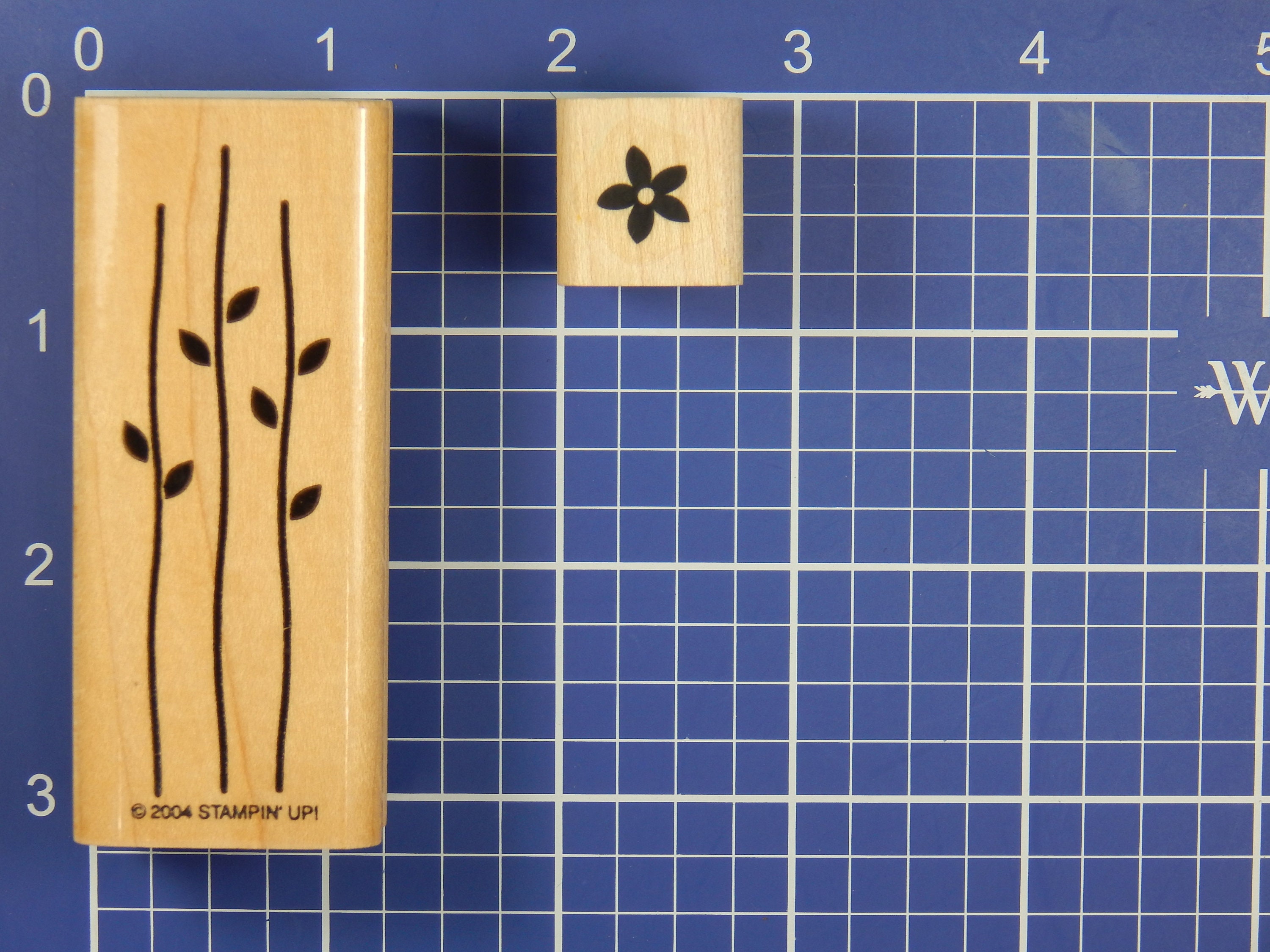 STEMS & FLOWER, Mounted Rubber Stamps, Stampin' Up! - Etsy
