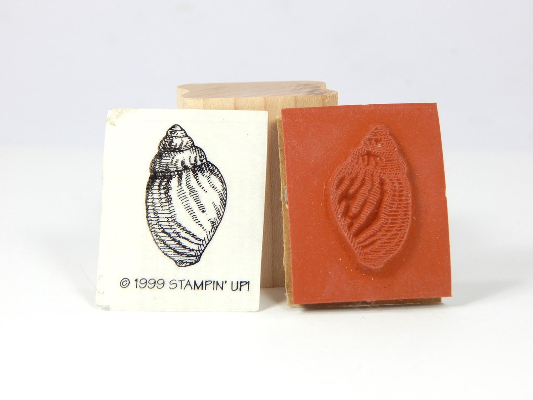 SEASHELL, Unmounted Rubber Stamp by Stampin' Up! - Etsy