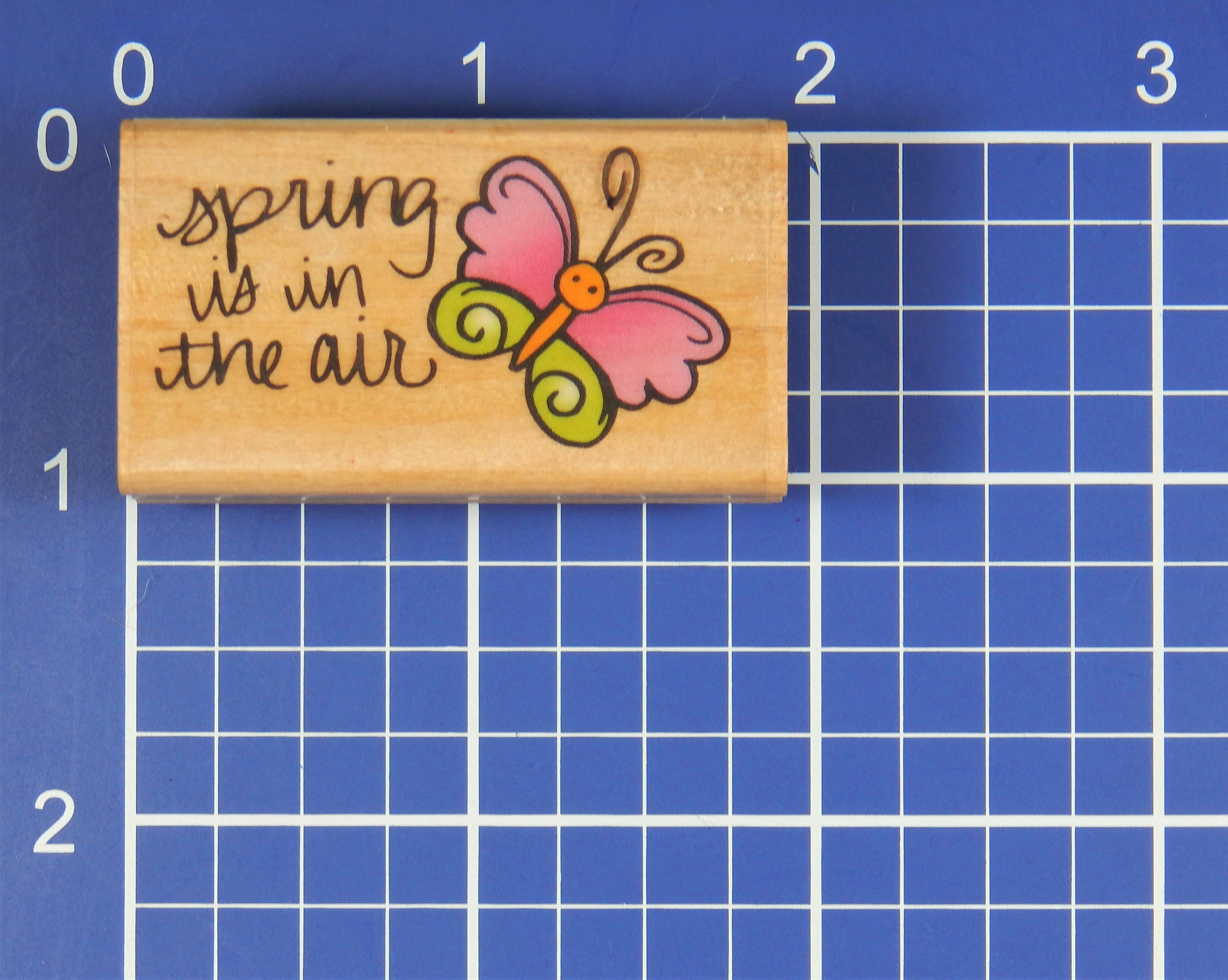 Spring is in the Air, BUTTERFLY, Mounted Rubber Stamp - Etsy