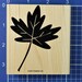 MAPLE LEAF, Wood Mounted Rubber Stamp, Stampin' Up! - Etsy