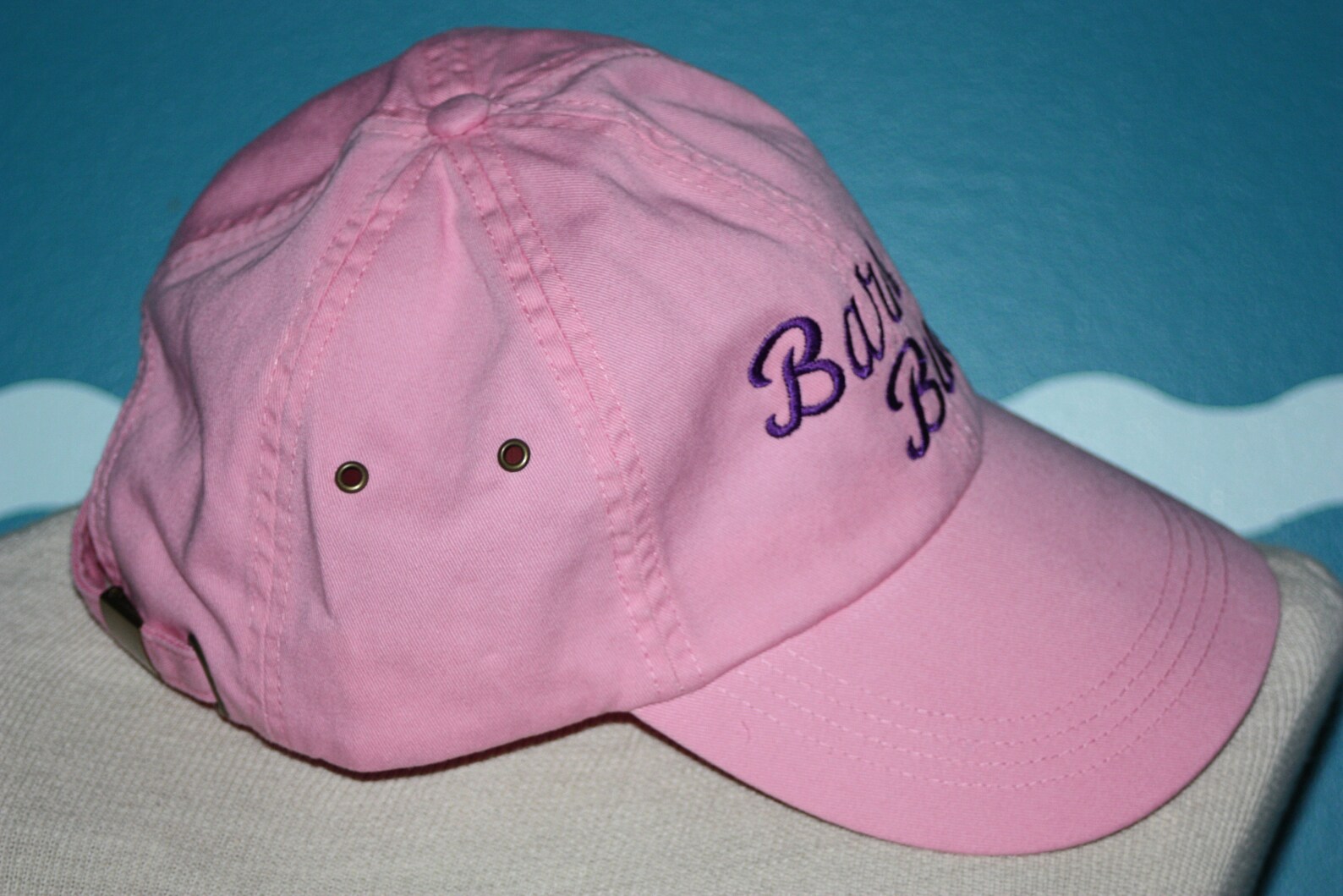 Barn Bum Baseball Cap Youth Girl's Ball Cap Custom Barn Hat for Girls ...