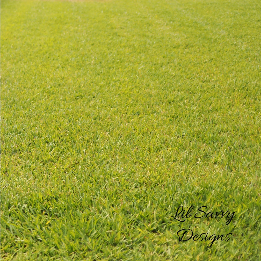 Green Grass Photography Background (digital Download) - Etsy