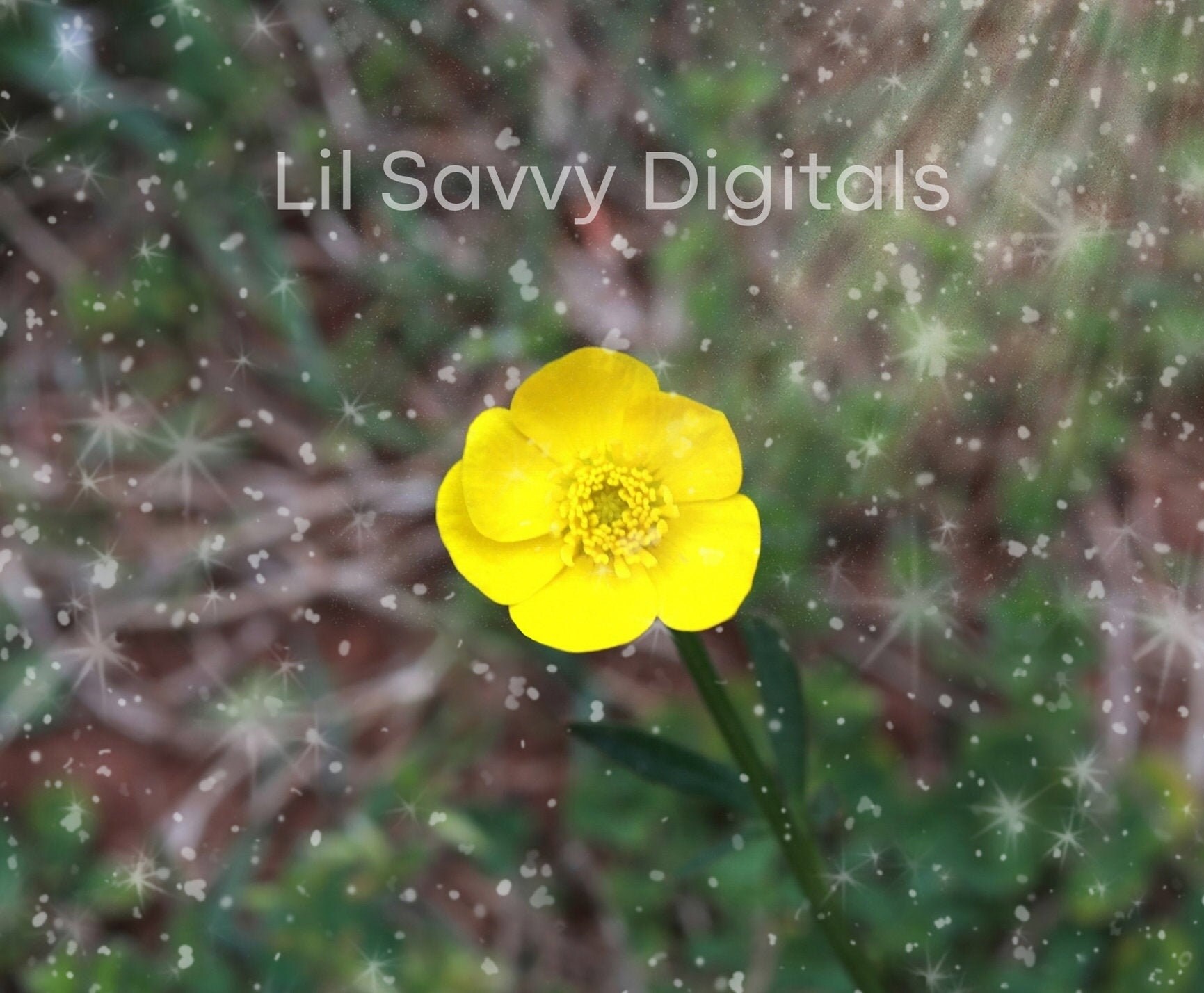 Spring Background Spring Flower Background Spring Backdrop - Etsy