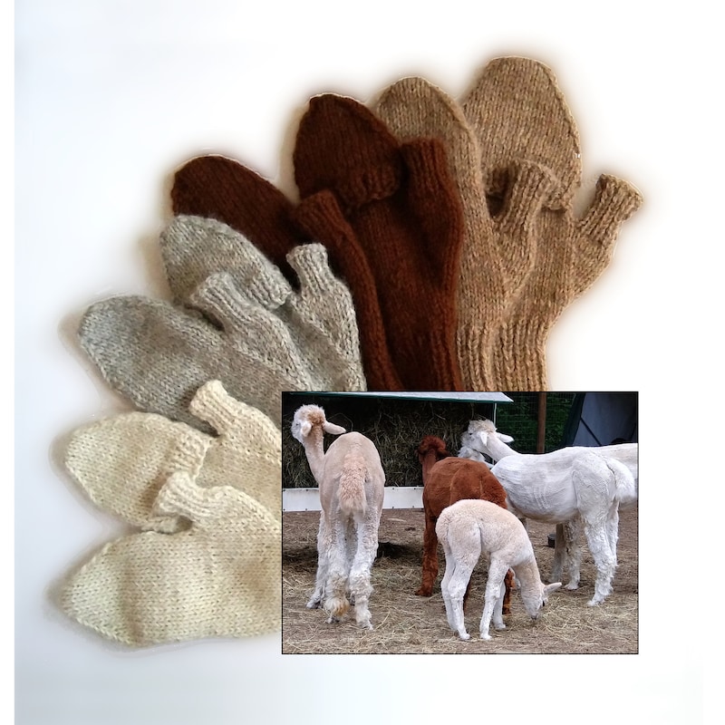 Middle Finger Mitten - Etsy