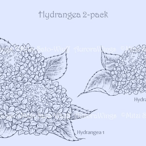 Hydrangea Stamp - Etsy