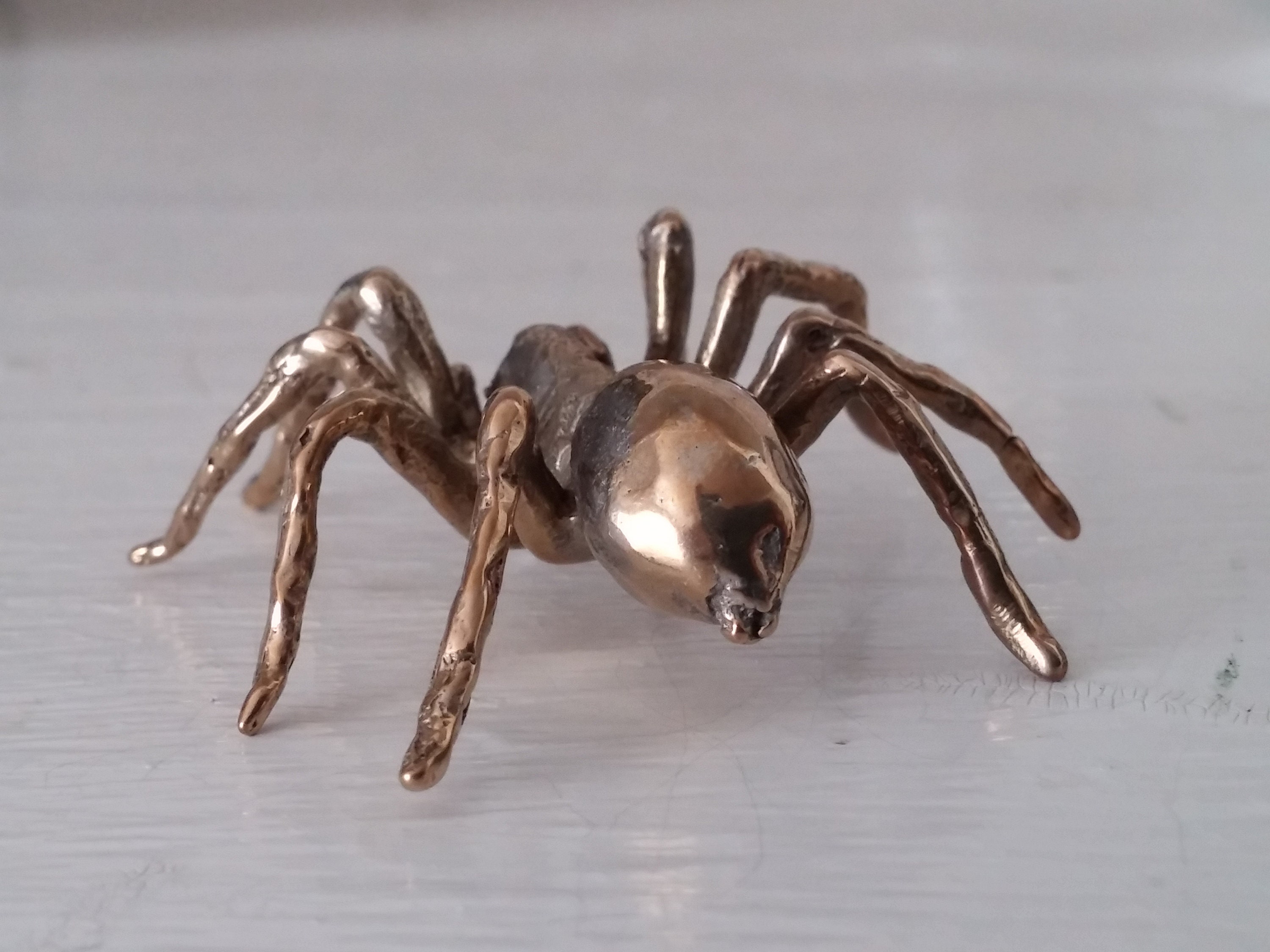 Art & Collectibles Life Size Handmade Bronze Spider Mini Wolf Spider ...