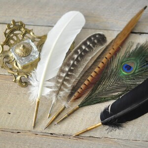 The TURKEY FEATHER Quill Pen Collection.genuine Tie Fly Wedding Fishing ...